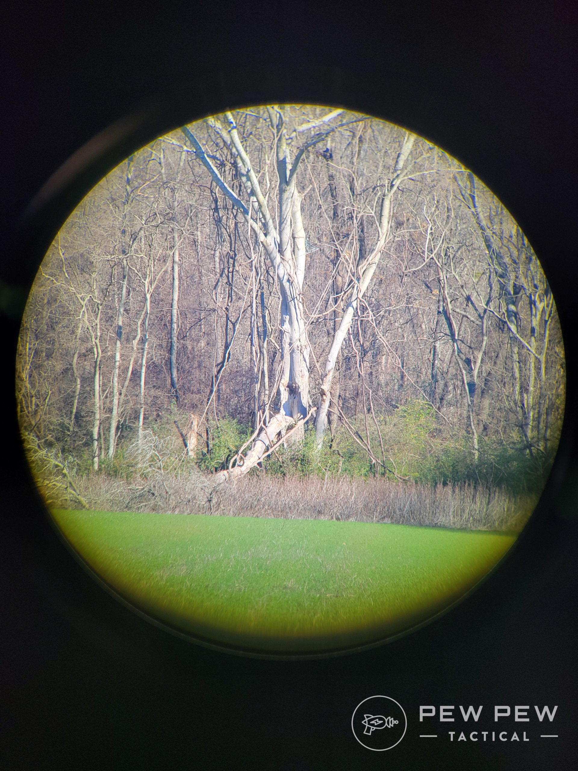 Maven S.3 20-40x67mm Spotting Scope Review - Pew Pew Tactical