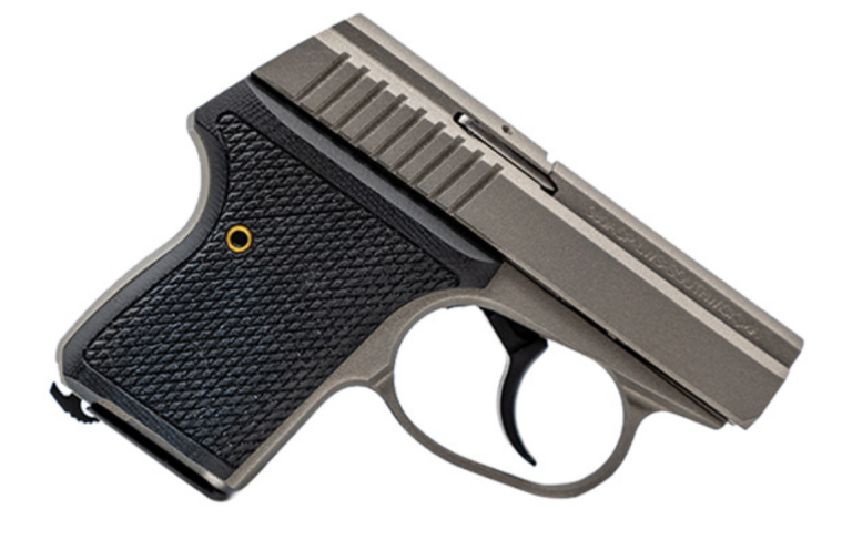 Best Mouse Guns: Tiny Guns for Spy-Level Concealment - Pew Pew Tactical