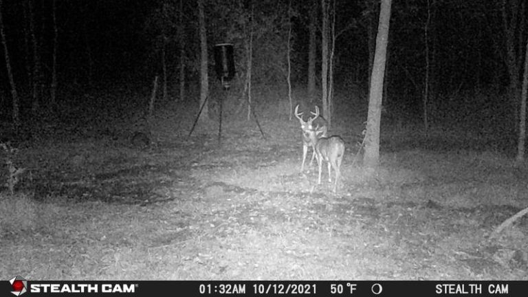 Best Trail Cameras: Hands-On Tested - Pew Pew Tactical