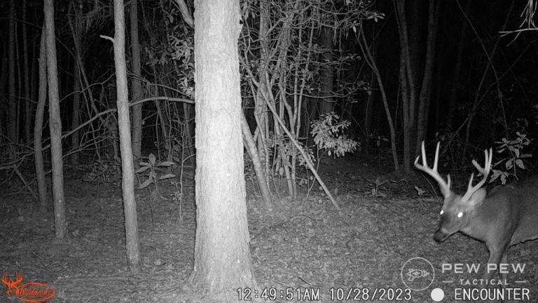 Best Trail Cameras: Hands-On Tested - Pew Pew Tactical