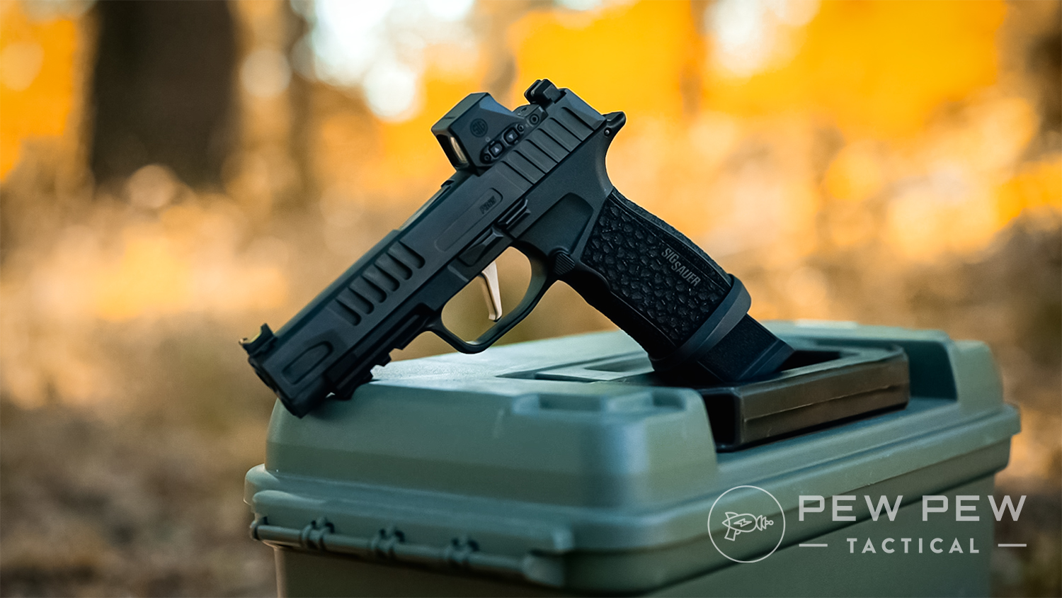 Best SIG Sauer Pistols for Concealed Carry [Tested & Reviewed] - Pew ...