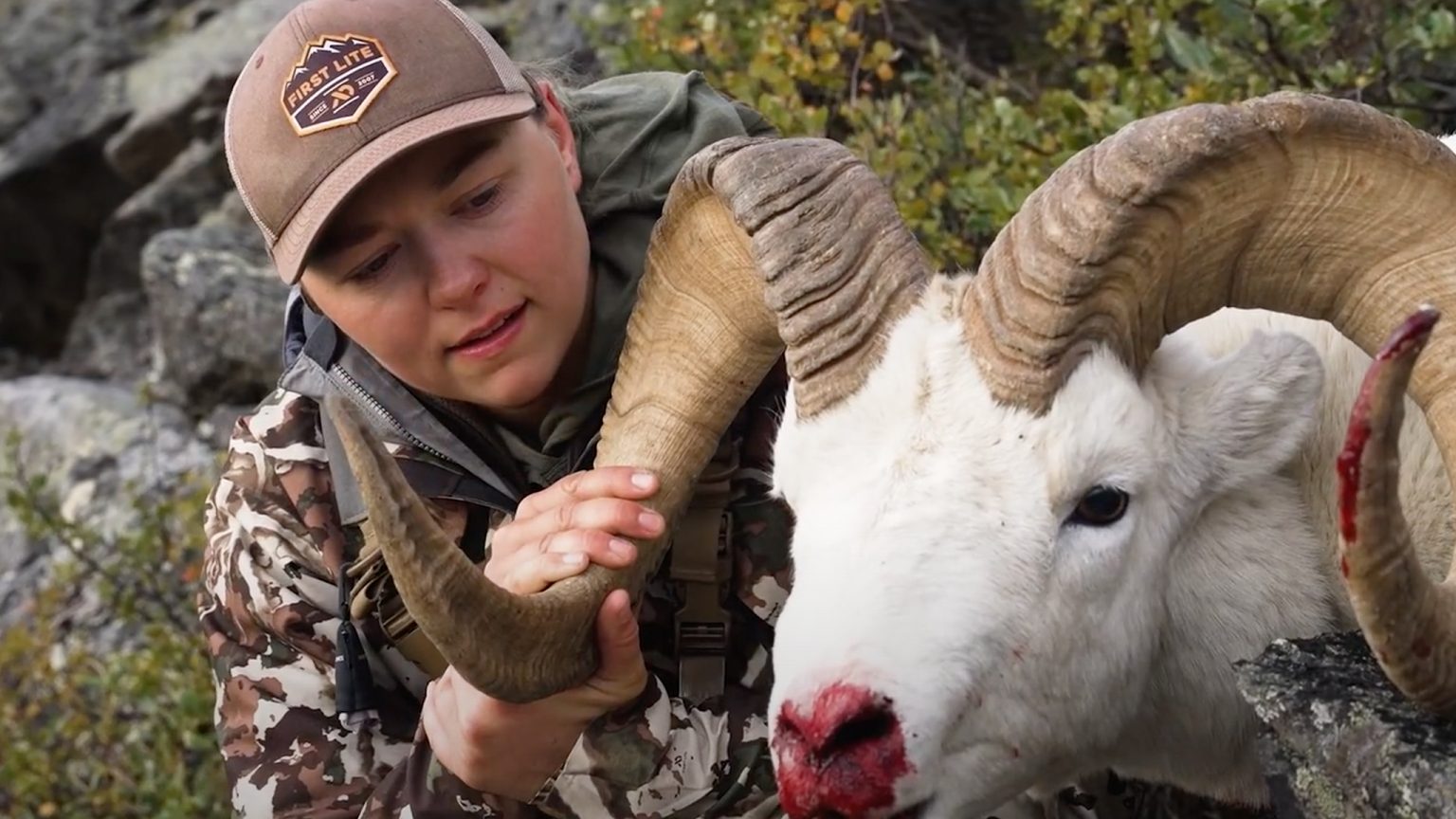 Quick Shots: Hunting, Cartridge Selection, & Gear with Jordan Budd ...
