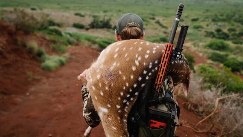 Quick Shots: Hunting, Cartridge Selection, & Gear with Jordan Budd ...