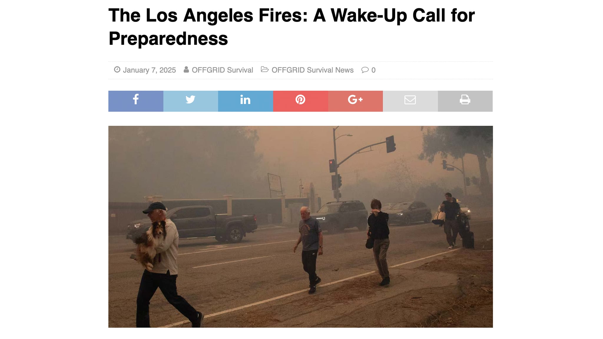 Best Prepping & Survival Websites: Stay Alive - Pew Pew Tactical