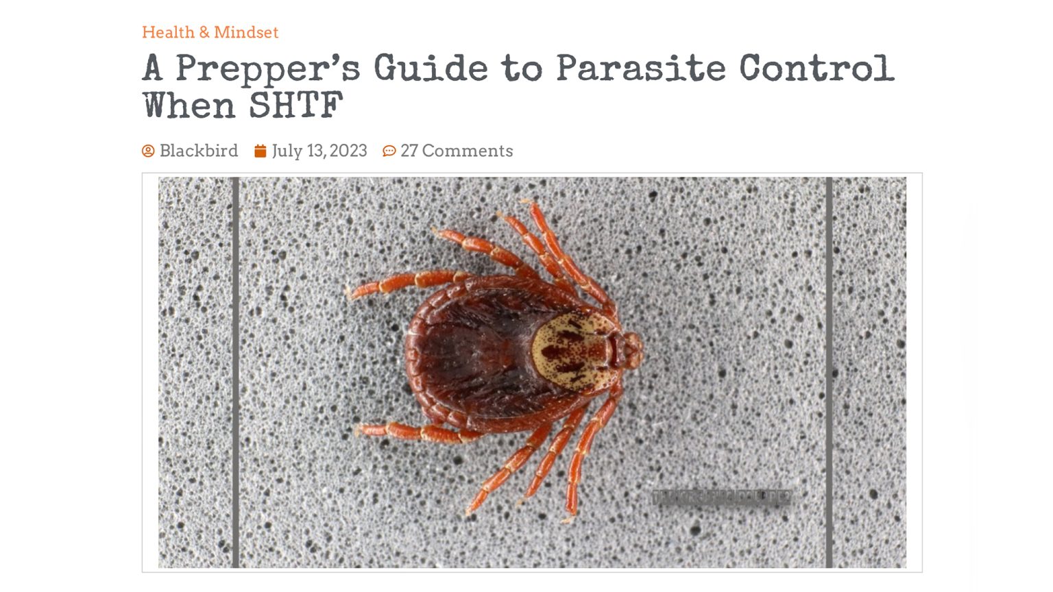 Best Prepping & Survival Websites: Stay Alive - Pew Pew Tactical