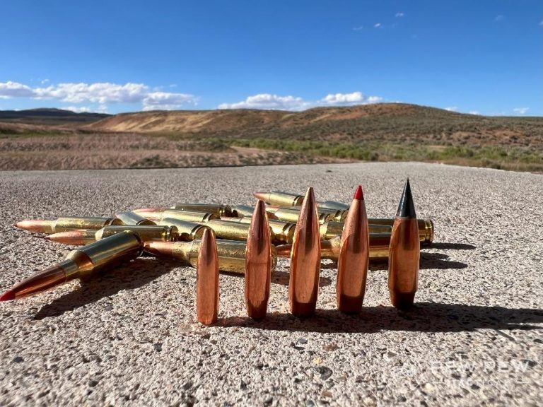 5 Best Long-Range Cartridges: Hit Stuff Really Far Away - Pew Pew Tactical