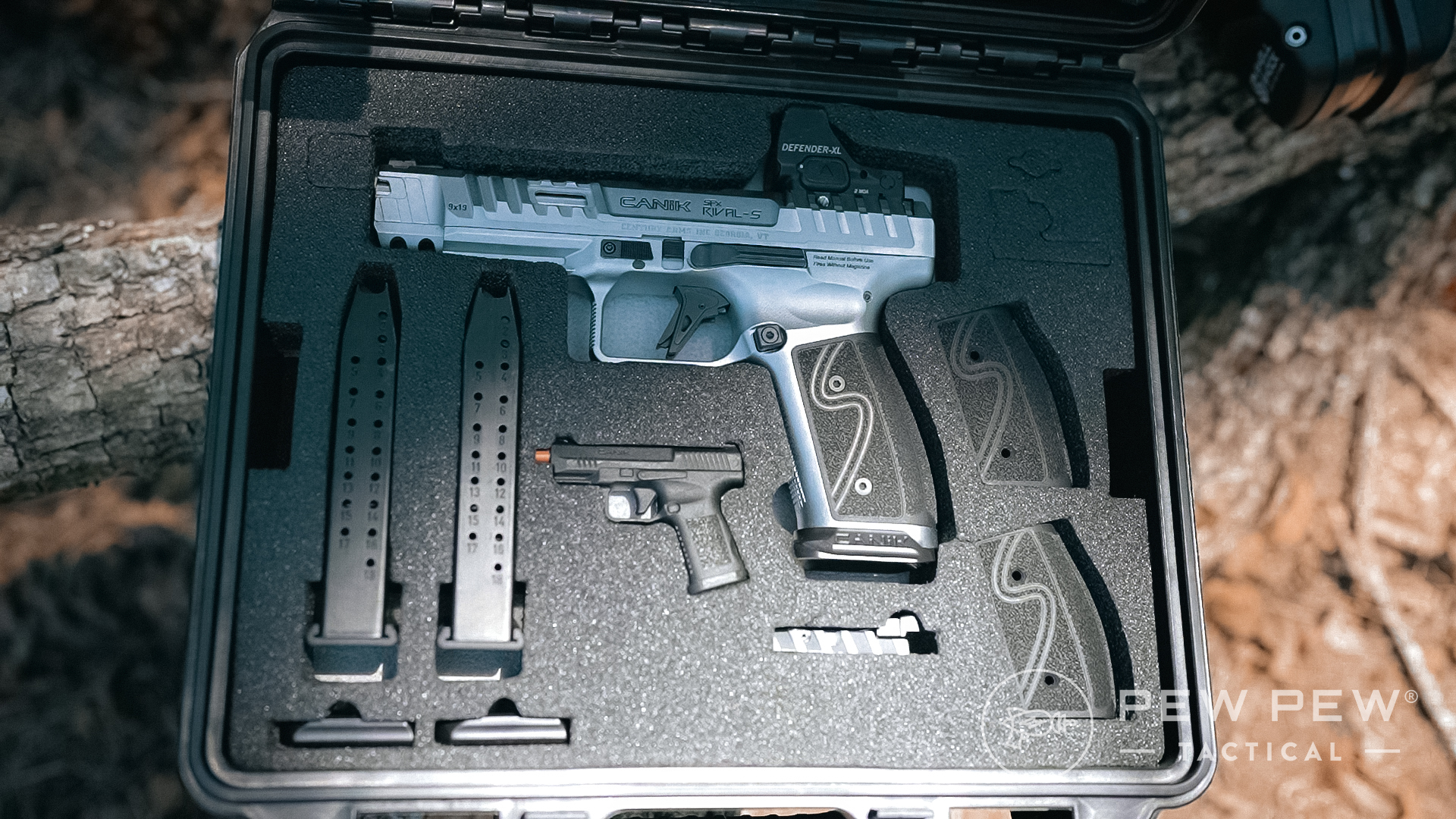 Canik Rival S vs Walther PDP Match SF: Can $900 Beat $1,800 at the ...